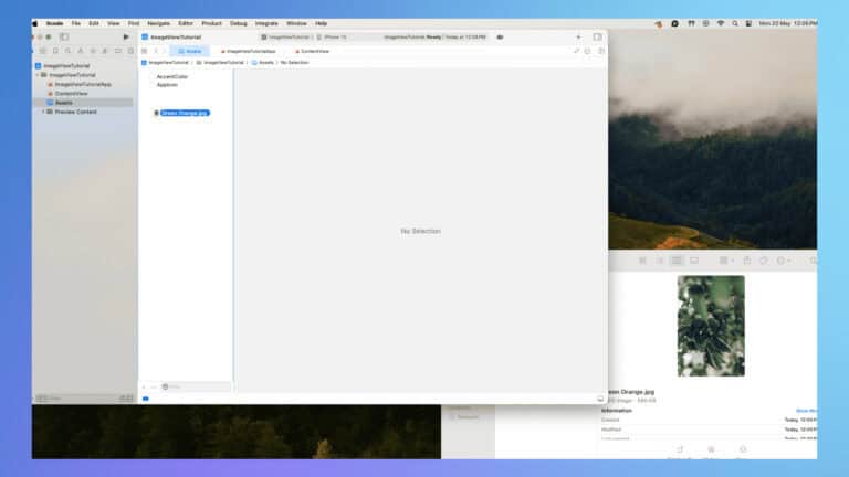 How To Use SwiftUI Image (2024) - Tutorial and Examples : CodeWithChris How To Use SwiftUI Image (2024) - Tutorial and Examples : CodeWithChris