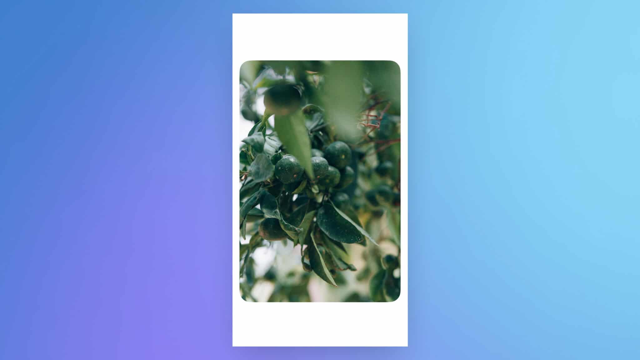 How To Use Swiftui Image 2024 Tutorial And Examples Codewithchris 8352