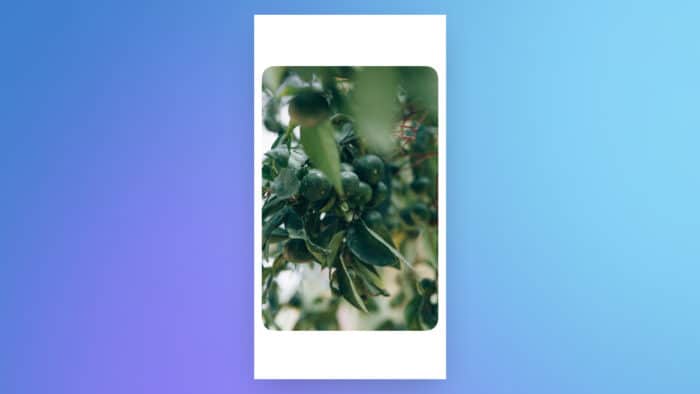 How To Use Swiftui Image 2024 Tutorial And Examples Codewithchris