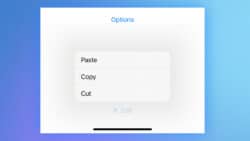How to Use SwiftUI Menu - Tutorial and Examples | CodeWithChris : CodeWithChris